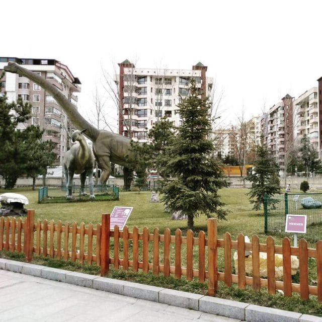 Tabiat Tarihi Müzesi | Nerede, Nasıl Gidilir, Giriş Ücreti (MTA) - Ankara