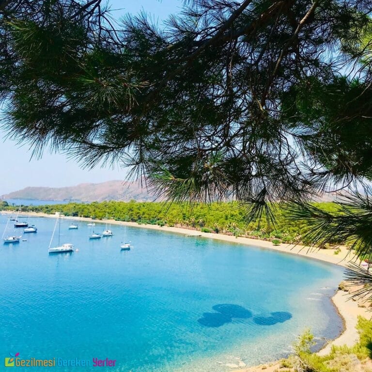 Datça Aktur Kamping | Konaklama Fiyatları - Nerede ve Nasıl Gidilir?