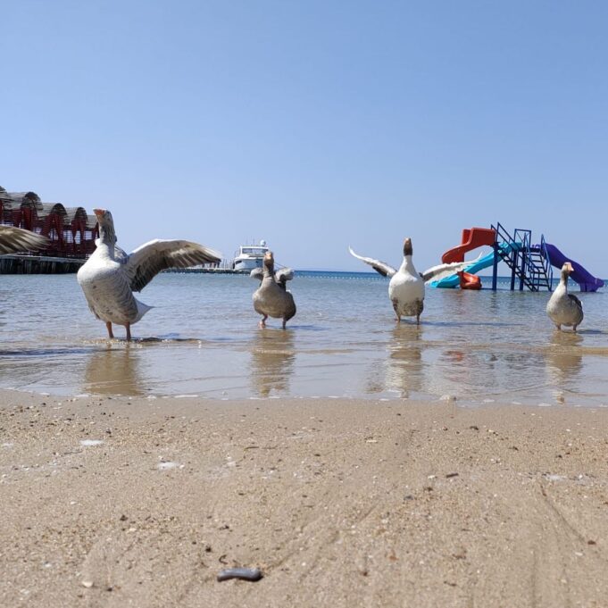 Altunhan Beach | Özellikleri, Nerede ve Giriş Ücreti - EDİRNE